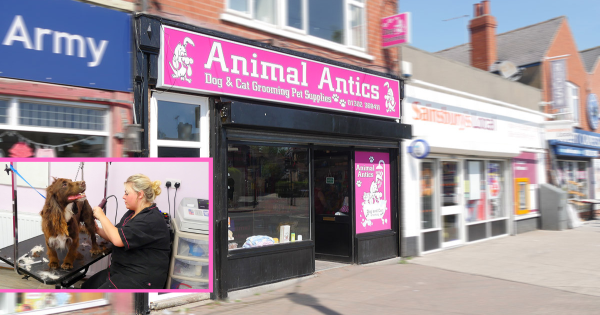 Our Staff - Animal Antics